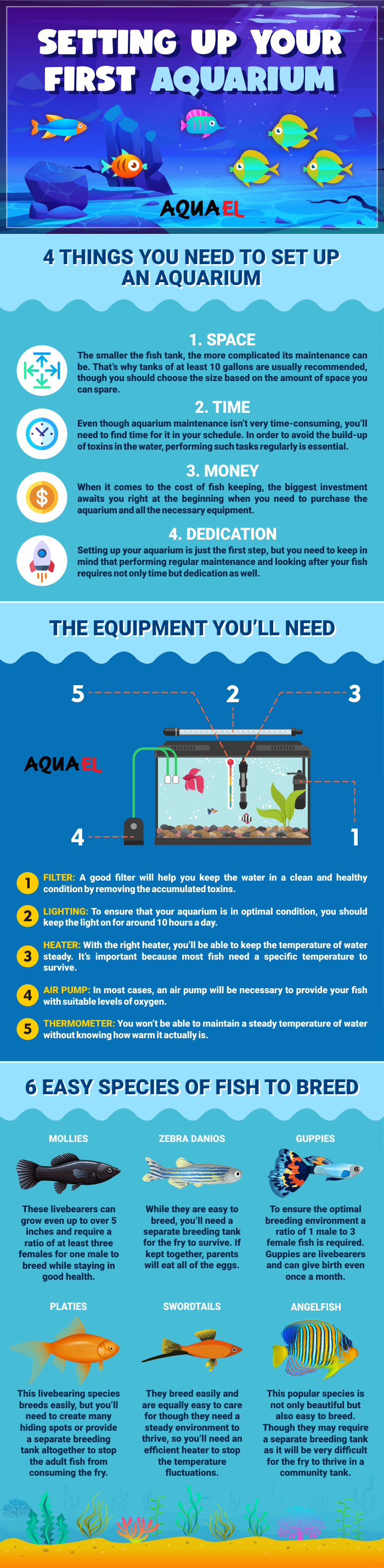 Setting Up Your First Aquarium - Types Of Pet